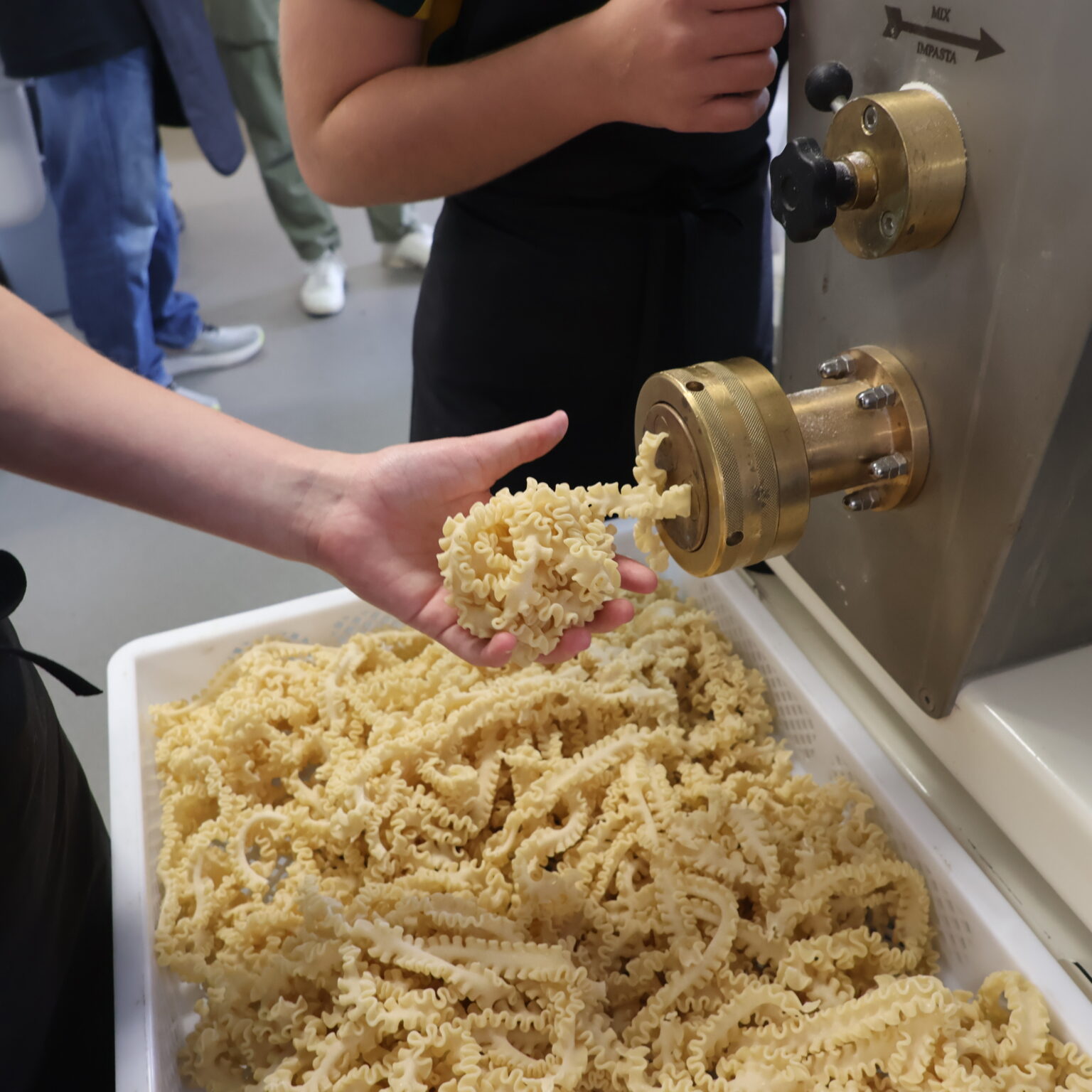 Foodies Visits Triabunna - School Food Matters